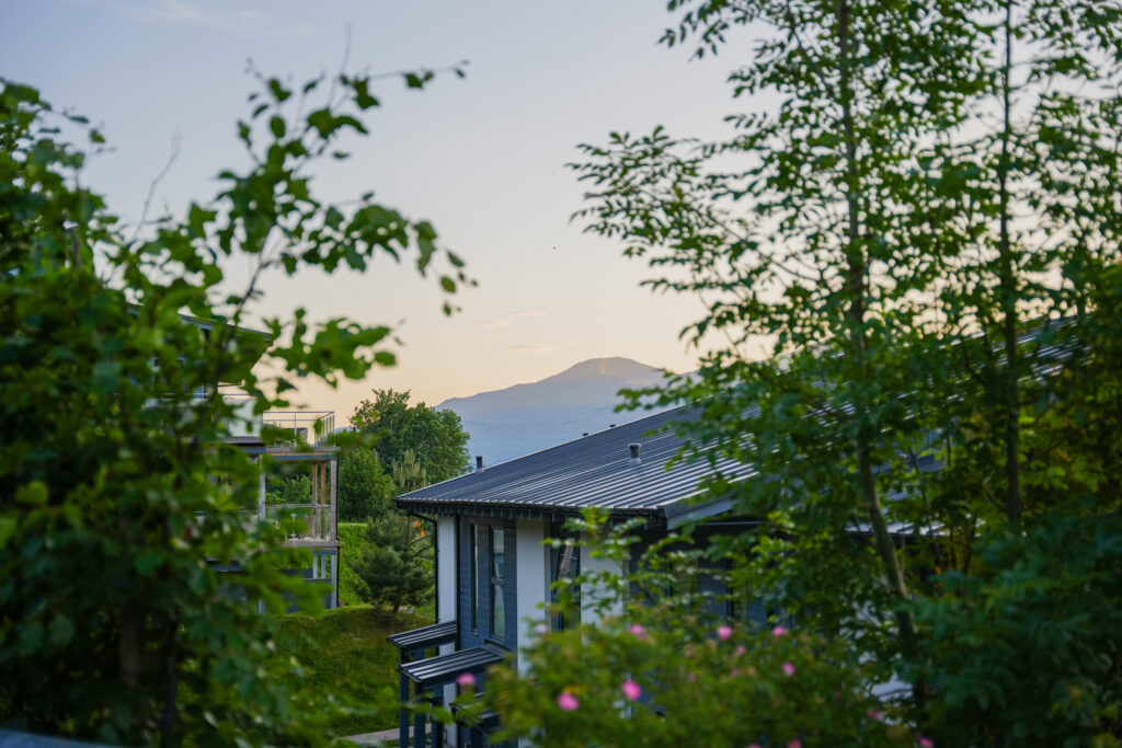 Gallery - MSA Architects